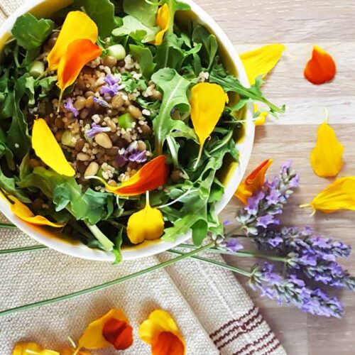 Nasturtium: what's edible & how to use it - Ask the Food Geek