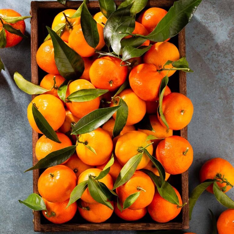 Orange chicken sauce