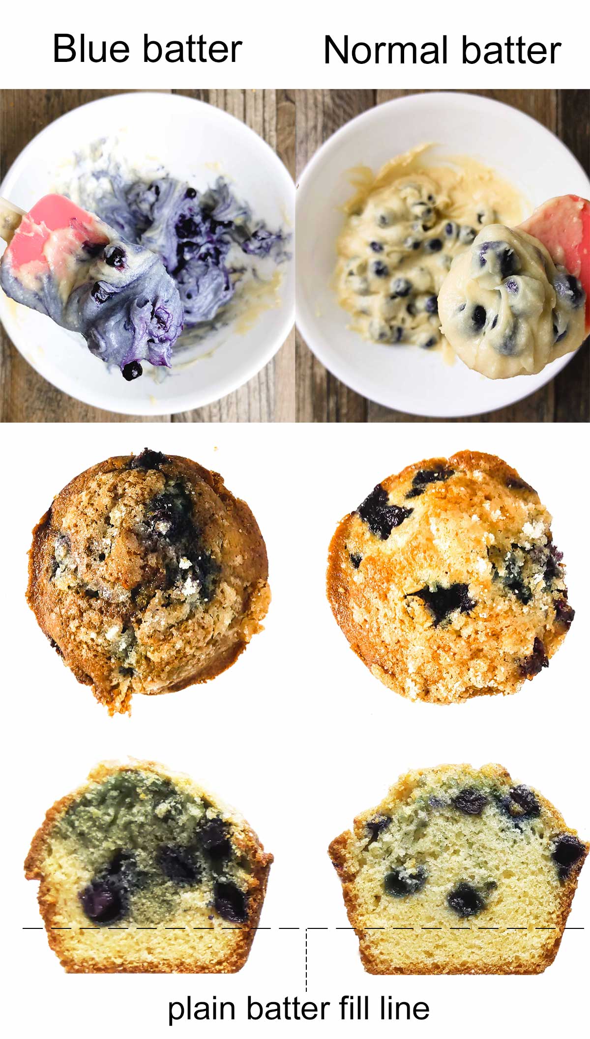 Blueberry muffins, what could go wrong? - Ask The Food Geek