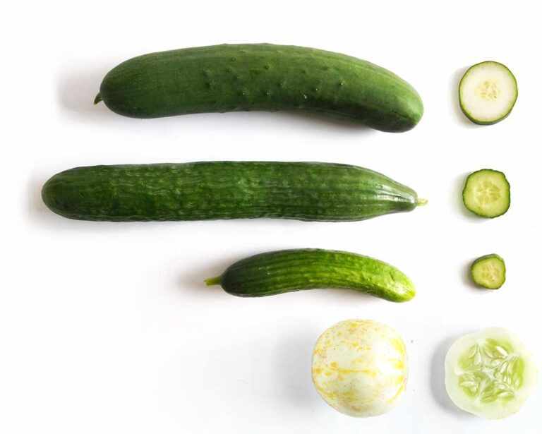 Why cucumbers are bitter & how to fix it - Ask The Food Geek