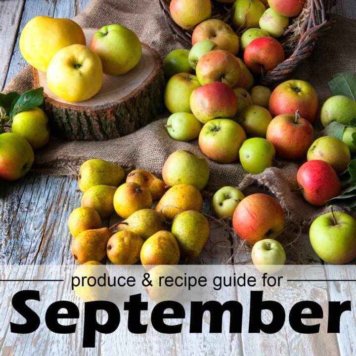 Blackberry season: everything you need to know