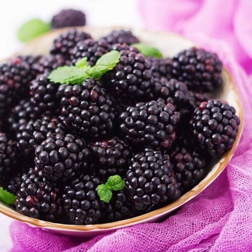 Why Are Blackberries Sour And Bitter