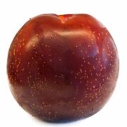 Plums: everything you need to know - Ask the Food Geek