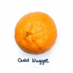 Mandarins: everything you need to know - Ask the Food Geek