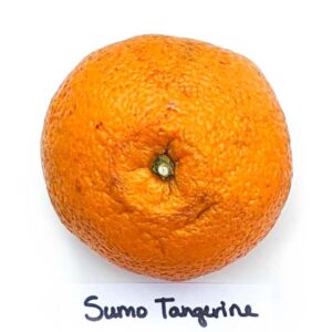 Mandarins: everything you need to know - Ask the Food Geek