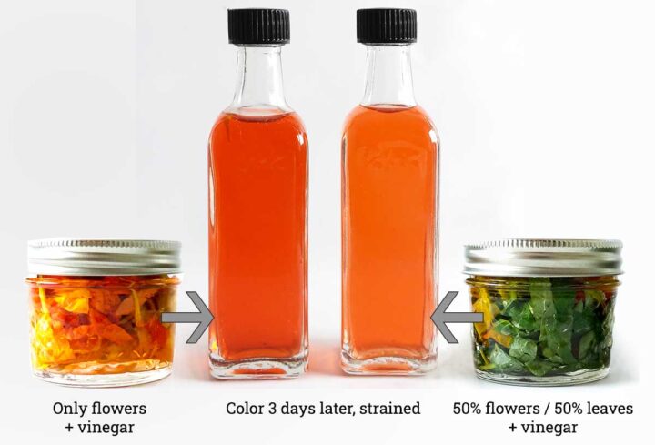 Nasturtium vinegar - Ask The Food Geek