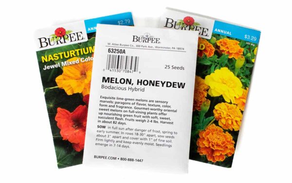 The best & cheapest sources for vegetable seeds in 2025 - Ask the Food Geek