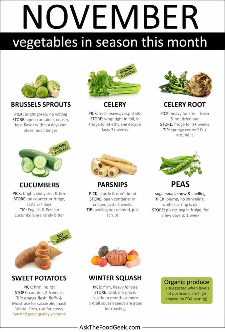The practical produce guide: November 2024