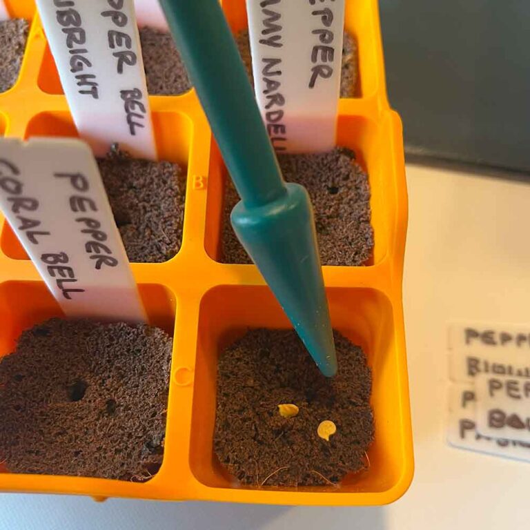 My new favorite seed starting trays - Ask The Food Geek