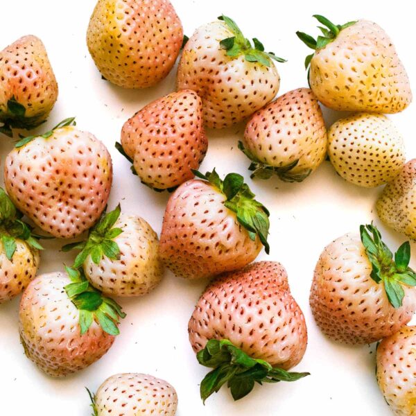 Pineberries: flavor, season, and how to buy them