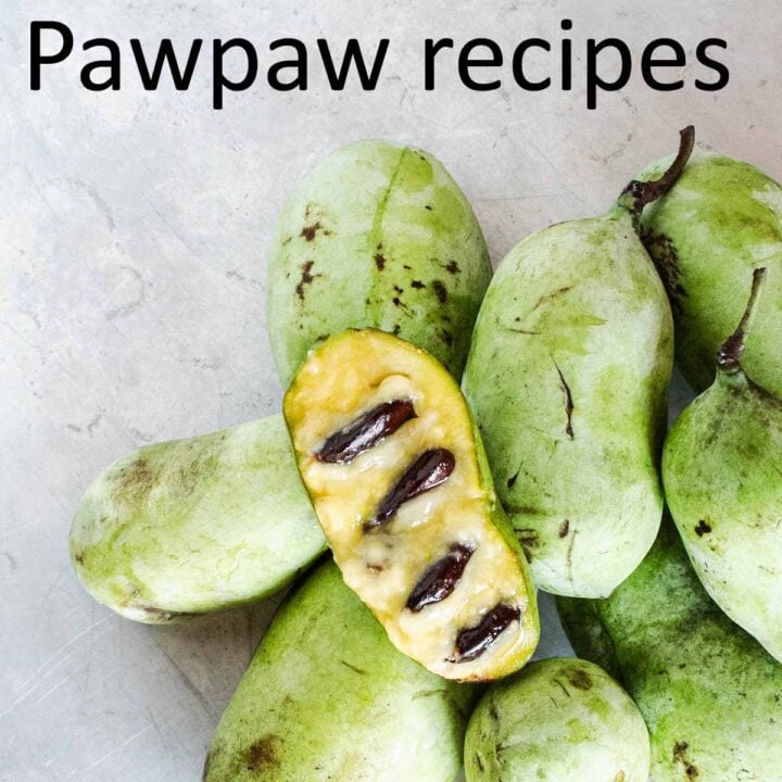 Tropical pawpaw pie with coconut crust - Ask The Food Geek