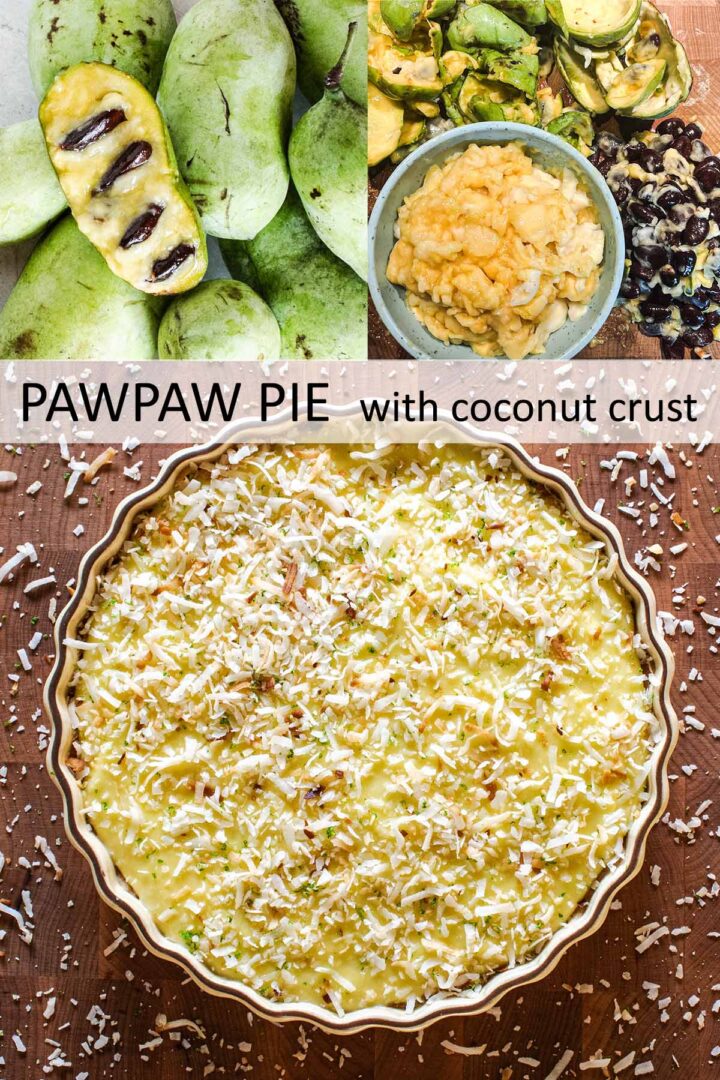 Tropical pawpaw pie with coconut crust - Ask The Food Geek