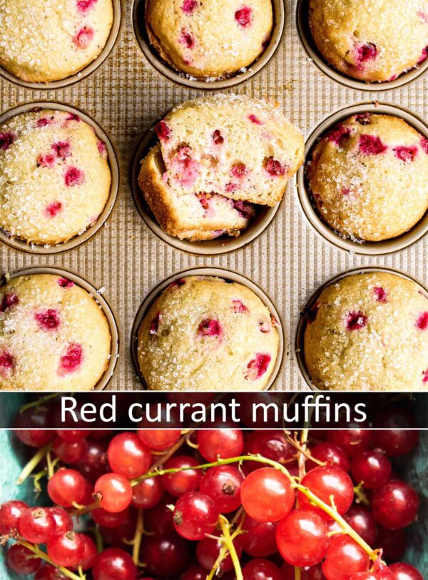 Red currant muffins - Ask The Food Geek
