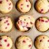 Red currant muffins - Ask The Food Geek