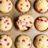 Red currant muffins - Ask The Food Geek