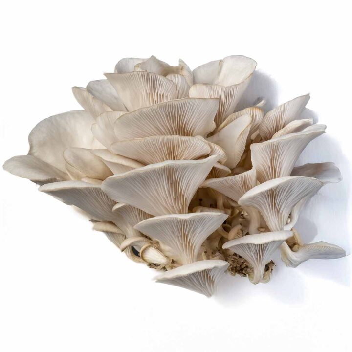 Cremini mushrooms - Ask the Food Geek