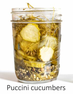 The best pickling cucumbers (for crisp pickles!) - Ask the Food Geek