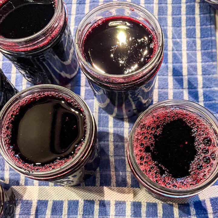 Blueberry syrup recipe (with canning instructions)