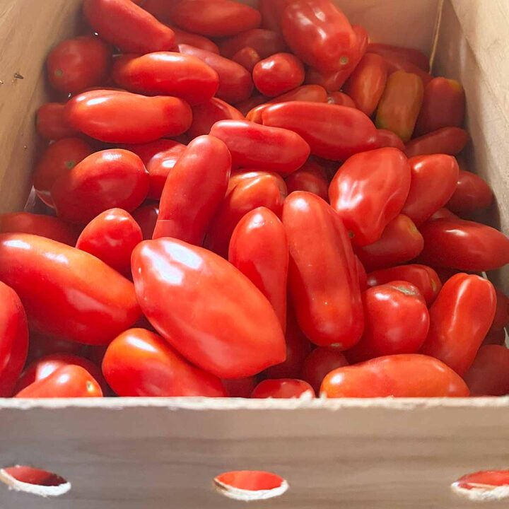 The best tomatoes for making paste, based on flavor