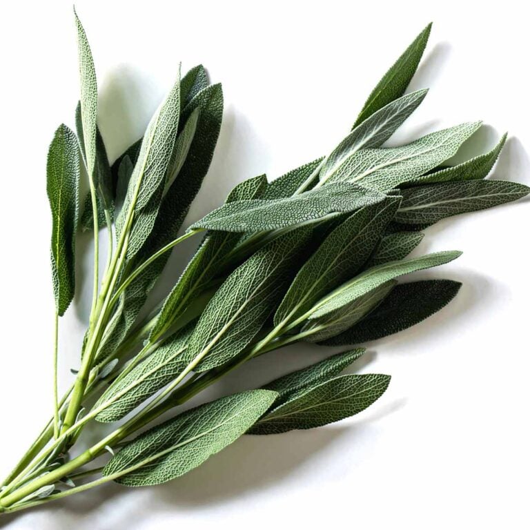 Fried sage leaves (from the garden) - Ask the Food Geek